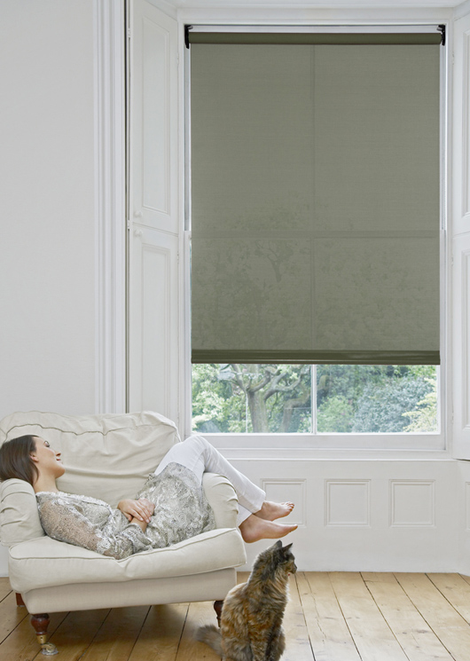 Estor Enrollable Polyscreen 550